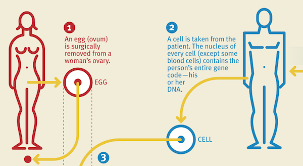 Visualization Makes Things Real - eagereyes.org