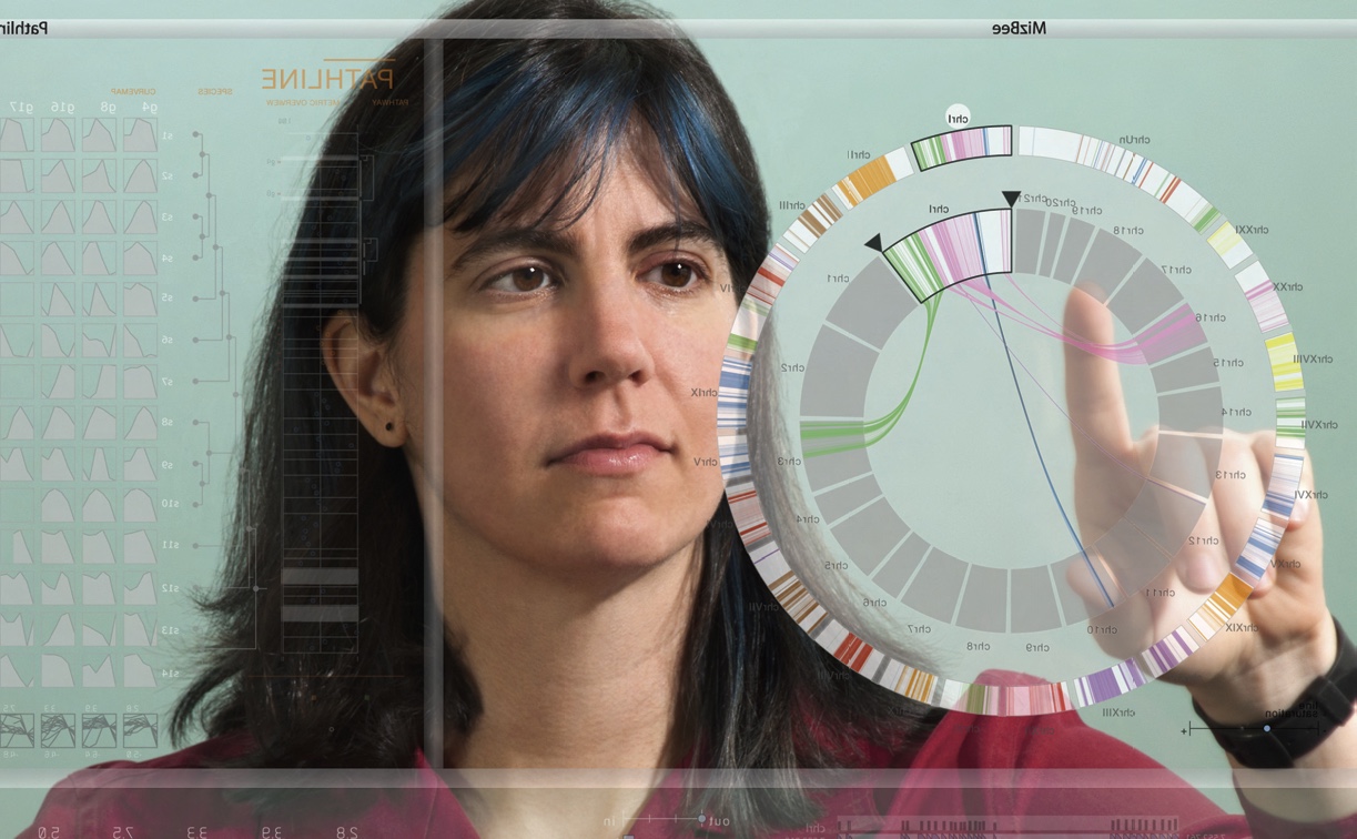 Data Stories starring Tamara Munzner - eagereyes.org